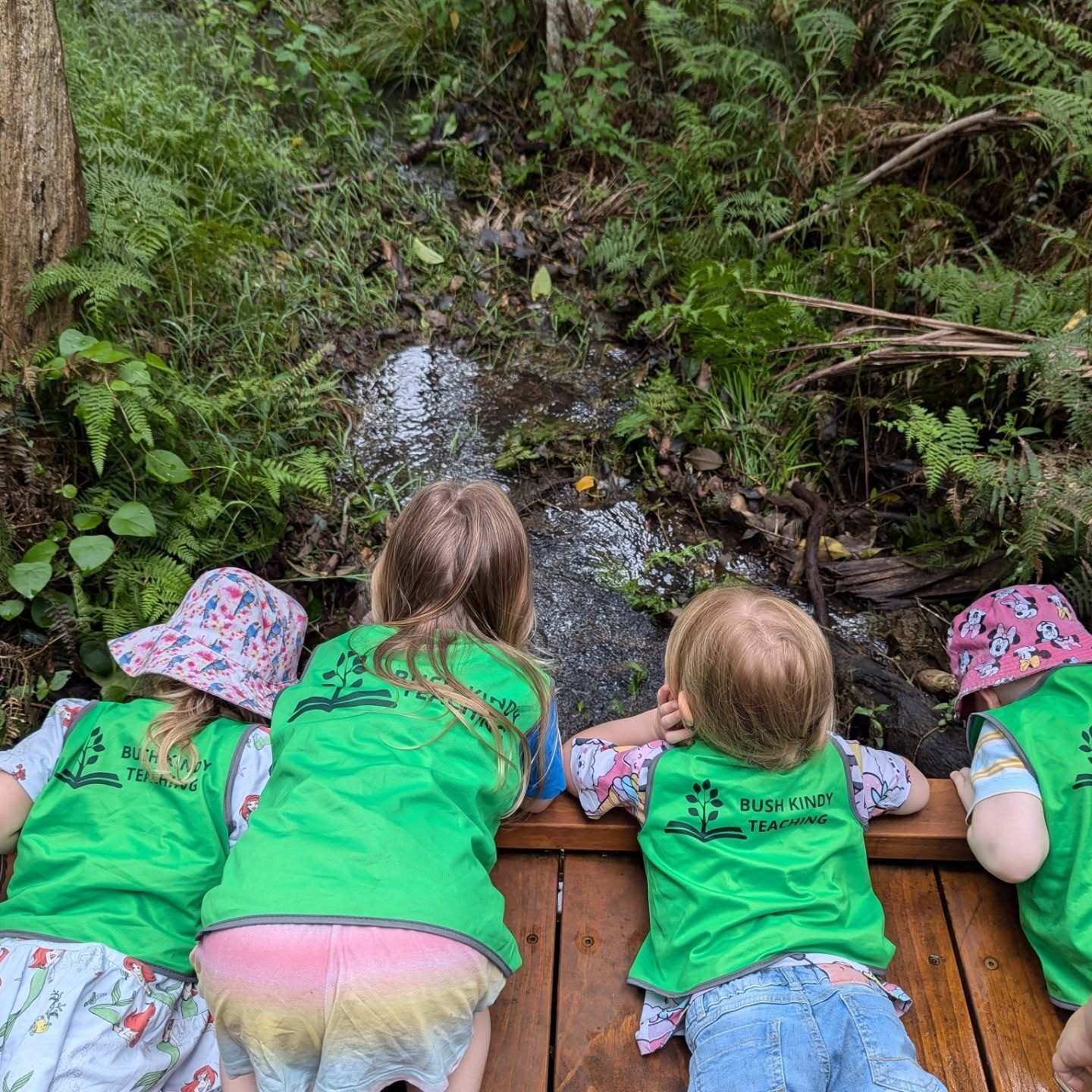 Bush Kindy Teaching | Nature Play Programs SE Queensland